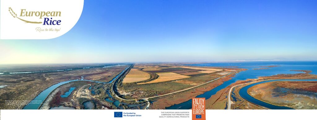 European Rice Reinforces its Commitment Sustainability in Rice Farming ...